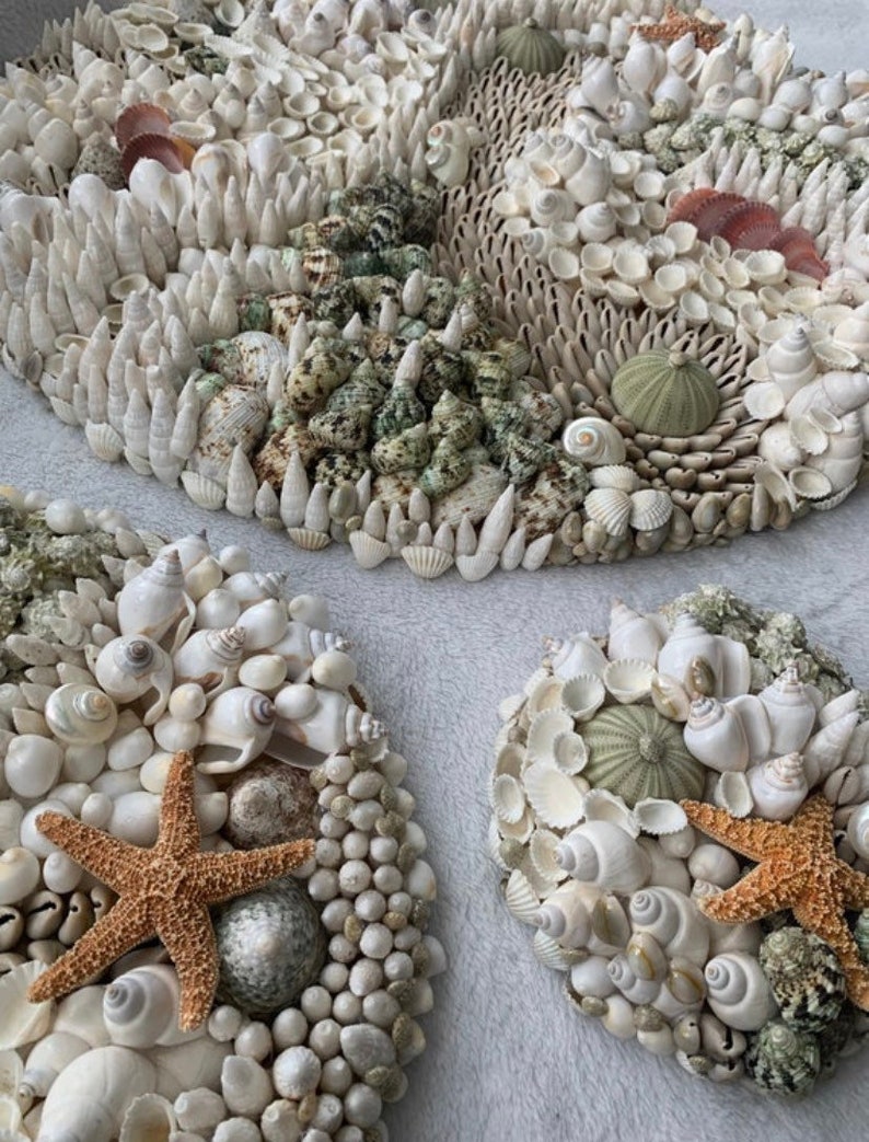 Seashell Mural DEEP SEA CORALREEF Natural Sea Shells Urchins - Etsy