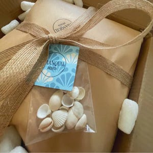 Framed Seashell Wall Mosaic Natural Sea Shells Coastal Nautical Wall ...