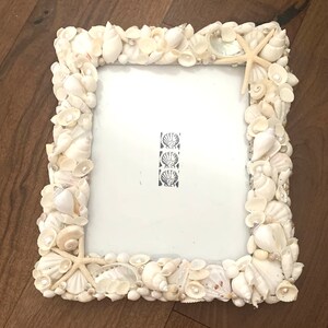 Sea Shell Picture Frame White Pearl CORAL REEF Natural Rare Seashells ...