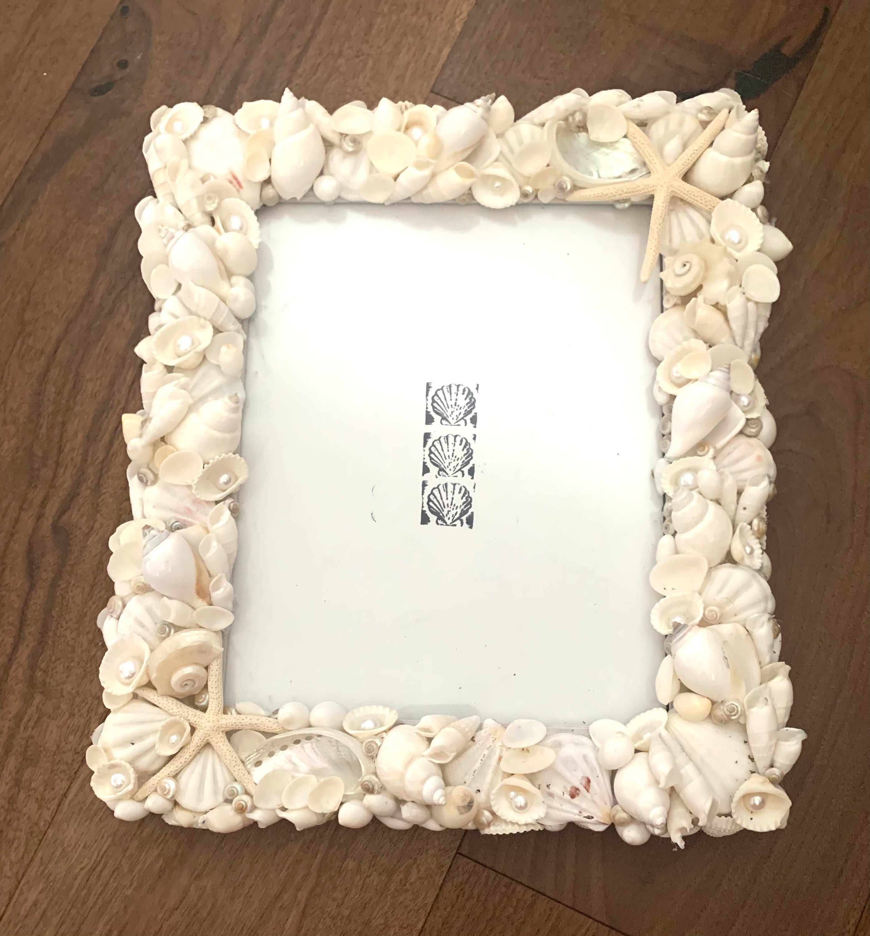 Sea Shell Picture Frame White Pearl CORAL REEF Natural Rare Seashells ...