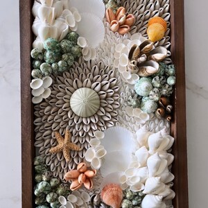 Framed Seashell Wall Mosaic Natural Sea Shells Coastal Nautical Wall ...