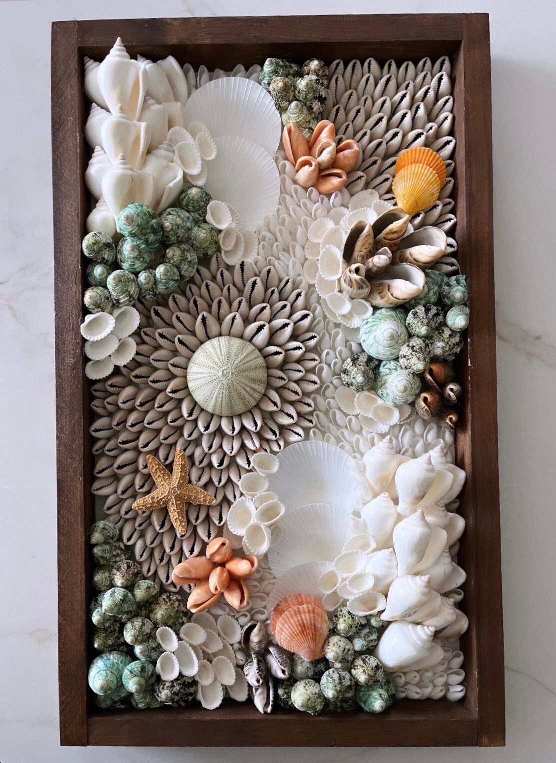 Framed Seashell Wall Mosaic Natural Sea Shells Coastal Nautical Wall ...