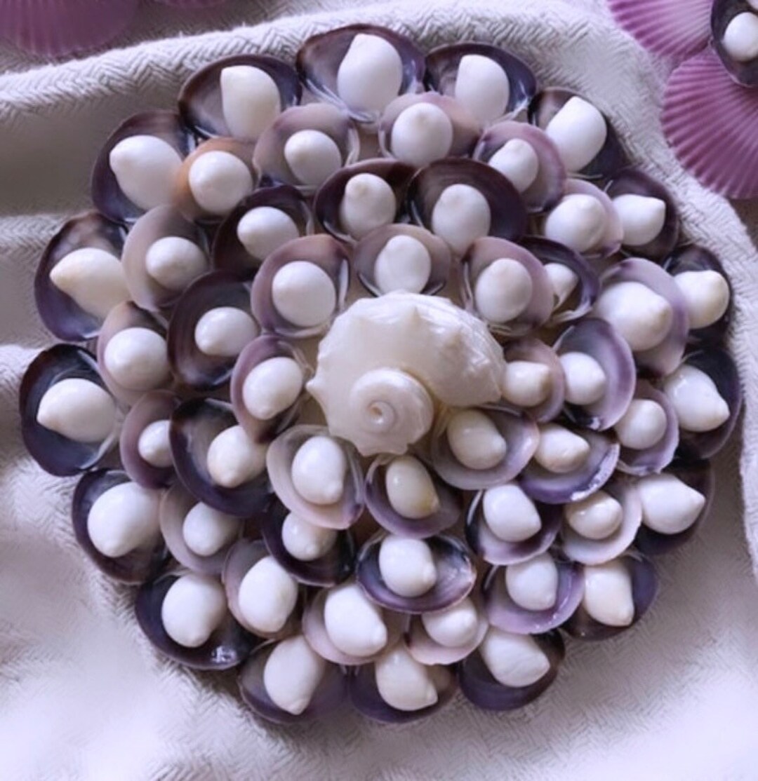 Purple Sea Shell Wall Décor Handmade violet Mermaid Nautical Décor ...