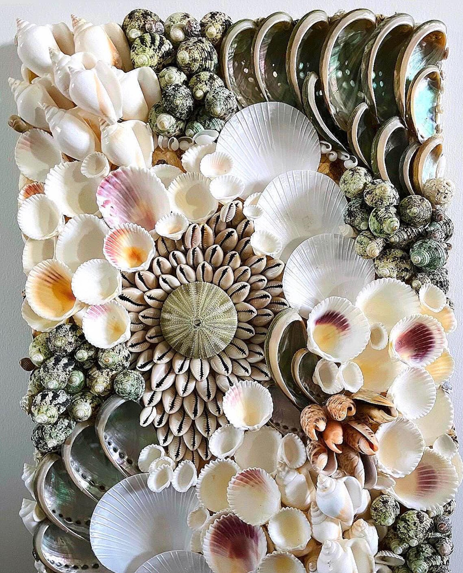 Sea Shell Wall Panels- Full Wall Mosaics All Natural Seashells Urchins ...