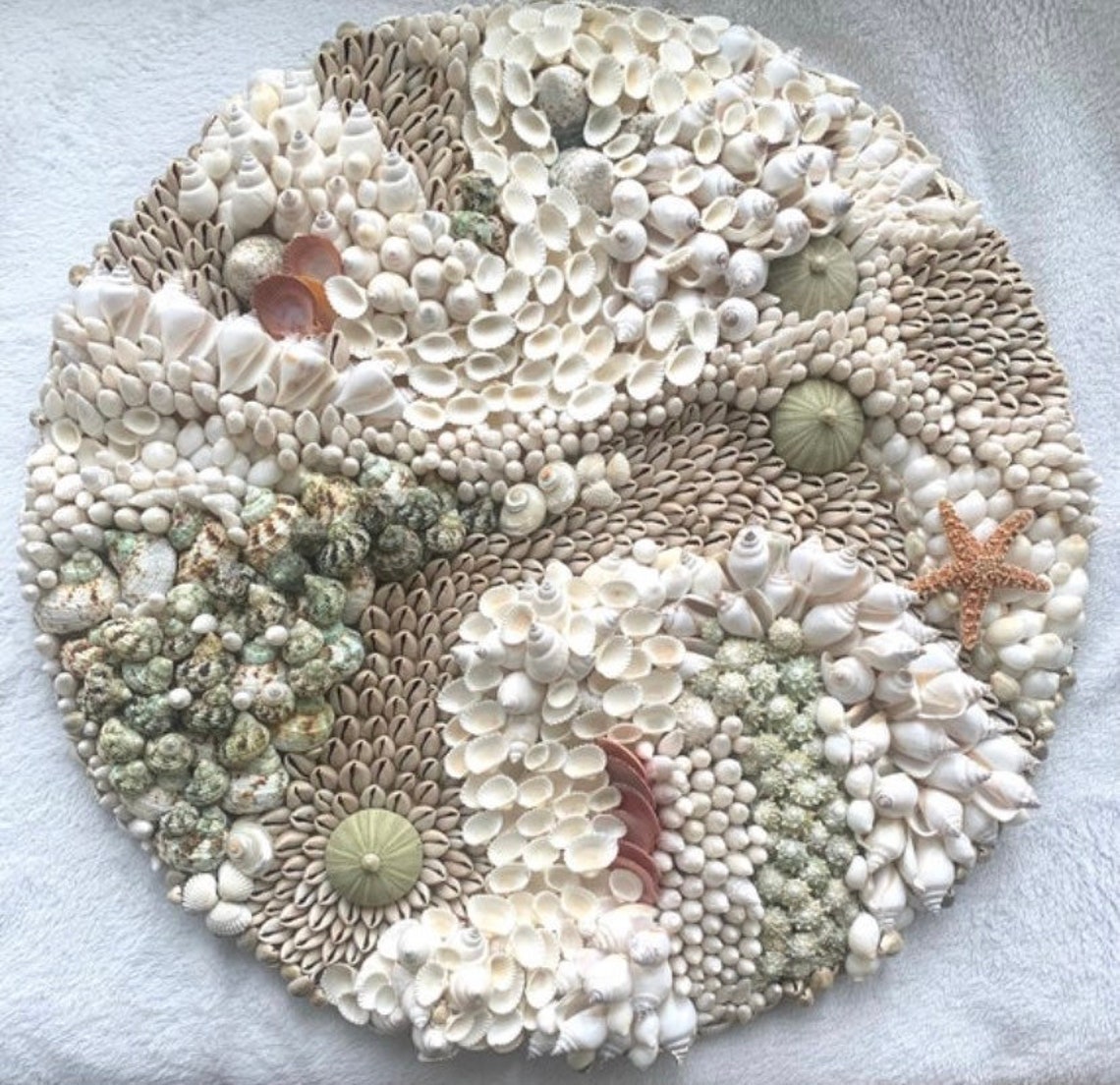 Seashell Mural DEEP SEA CORALREEF Natural Sea Shells Urchins Starfish ...