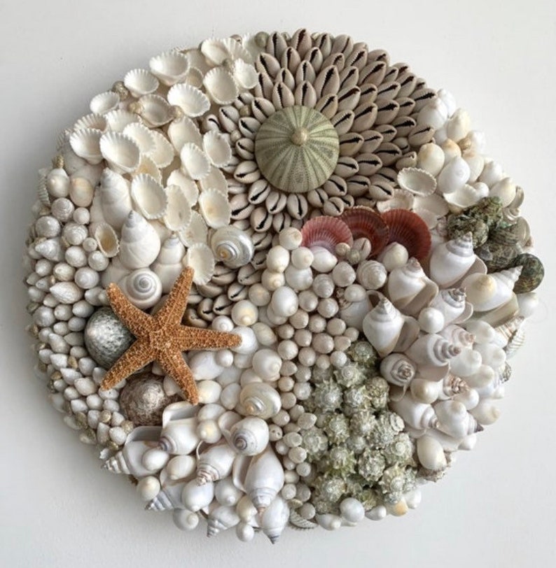 Seashell Wall Mosaic – “coral Reef” Round Coastal Sculpture Natural ...