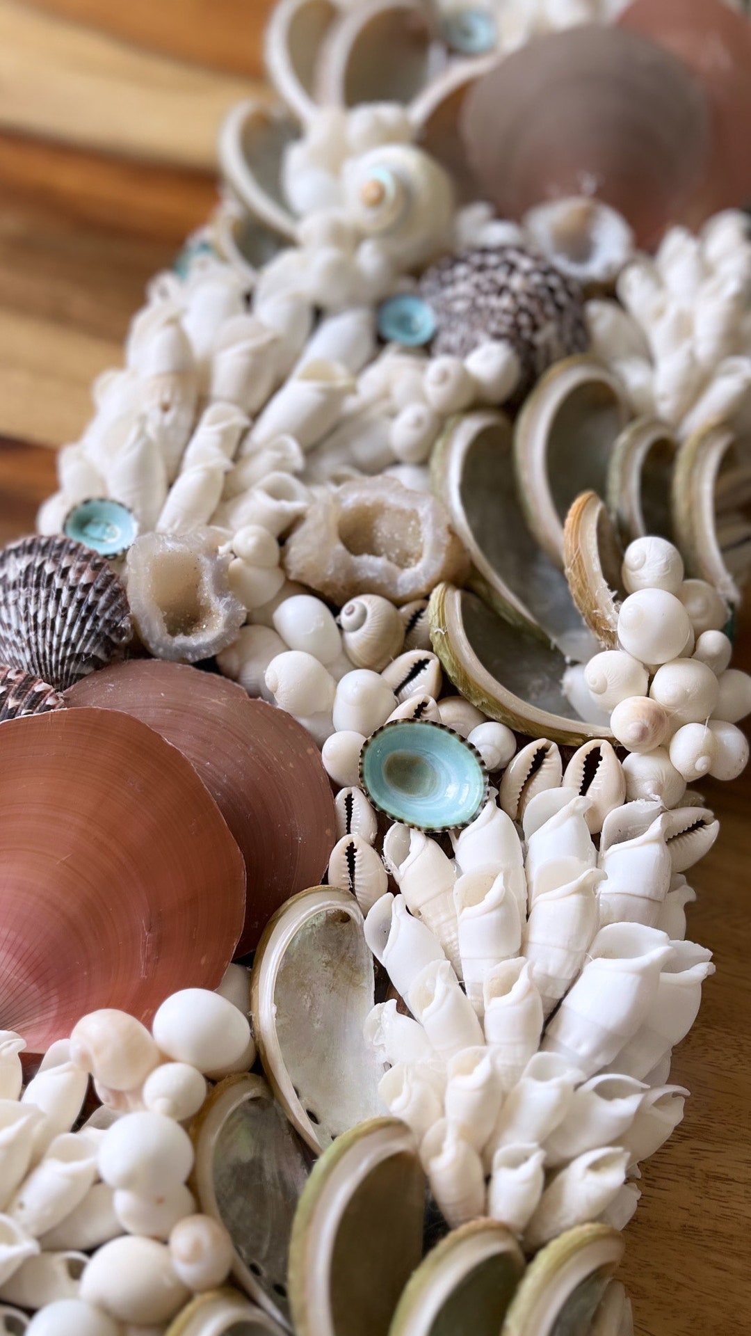 Shell & Crystal Wall Sculpture Natural Mosaic Blue Limpets Abalone ...