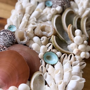 Shell & Crystal Wall Sculpture - Natural Mosaic Blue Limpets Abalone ...