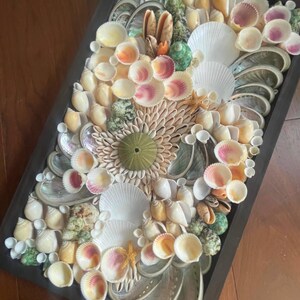 Framed Seashell Wall Mosaic Natural Sea Shells Coastal Nautical Wall ...