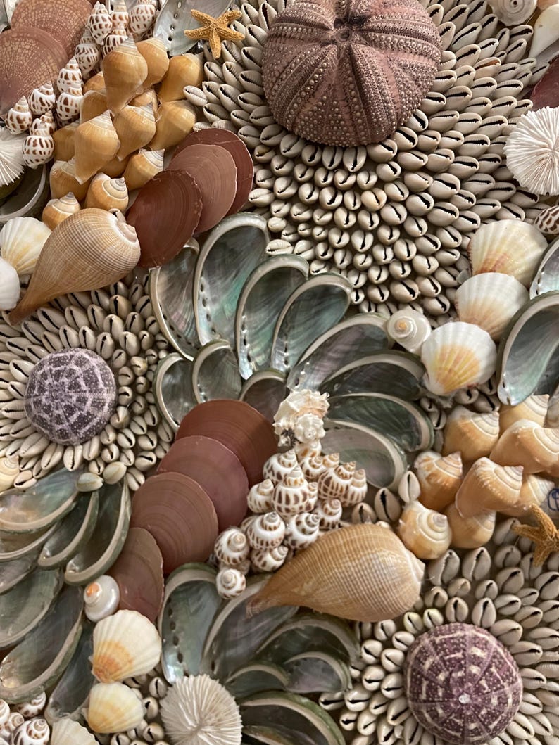 Large Framed Seashell Wall Mosaic CORAL REEF Natural Sculpture Wall ...