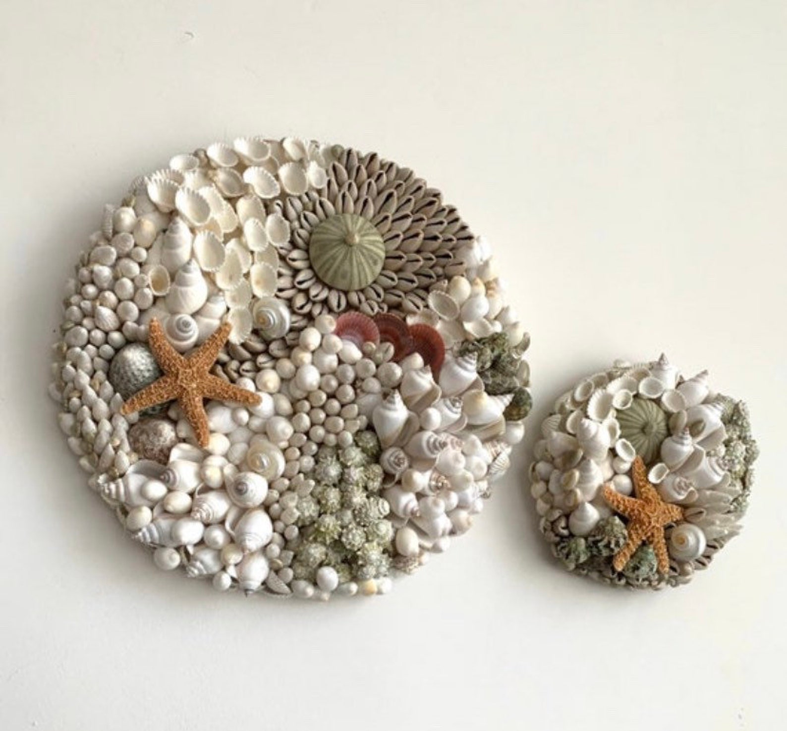 Seashell Mural DEEP SEA CORALREEF Natural Sea Shells Urchins Starfish ...