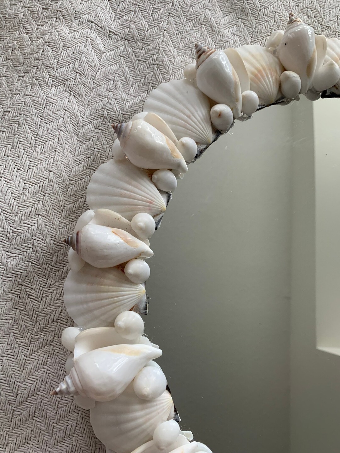 Seashell Mirror bella Mirrorall Natural White and Rare Sea - Etsy