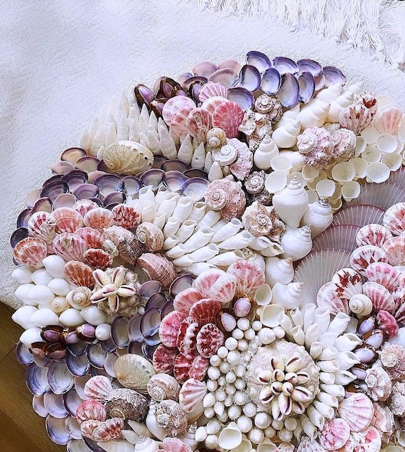 Seashell Art Designs