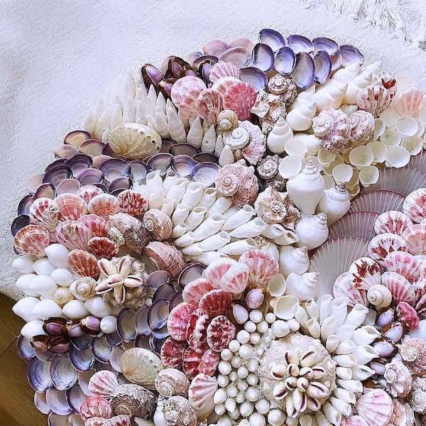 Large Seashell Wall Art - Etsy