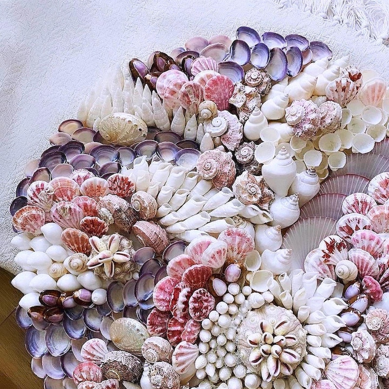 Seashell Wall Art - Etsy