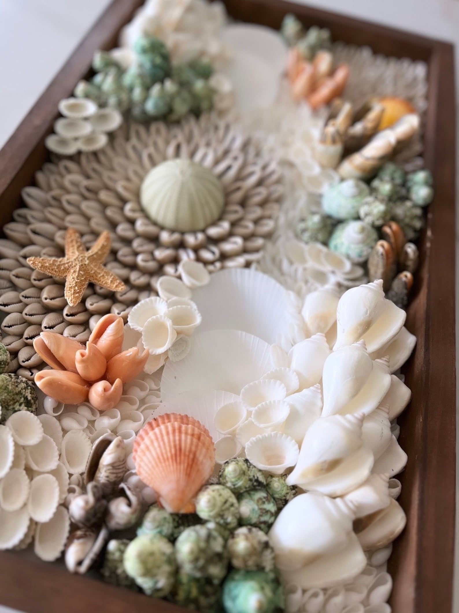 Framed Seashell Wall Mosaic Natural Sea Shells Coastal Nautical Wall ...