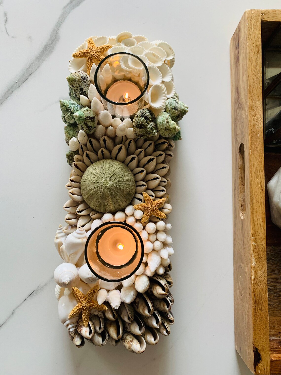 Seashell Candle Holder MERMAIDS GARDEN & DEEPSEA Shell Sculptures ...
