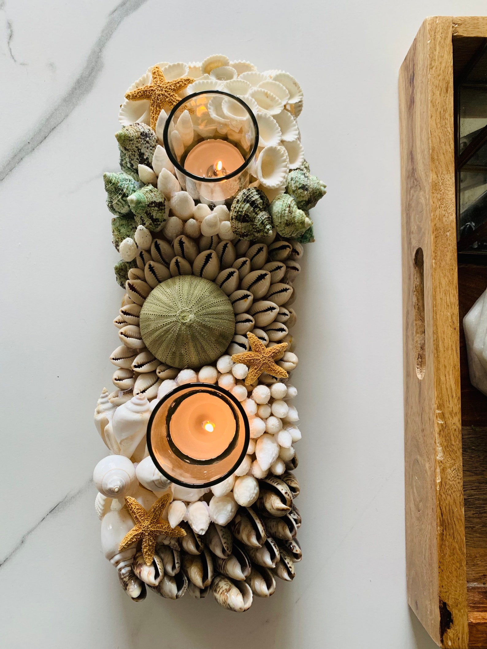 Seashell Candle Holder MERMAIDS GARDEN & DEEPSEA Shell Sculptures ...