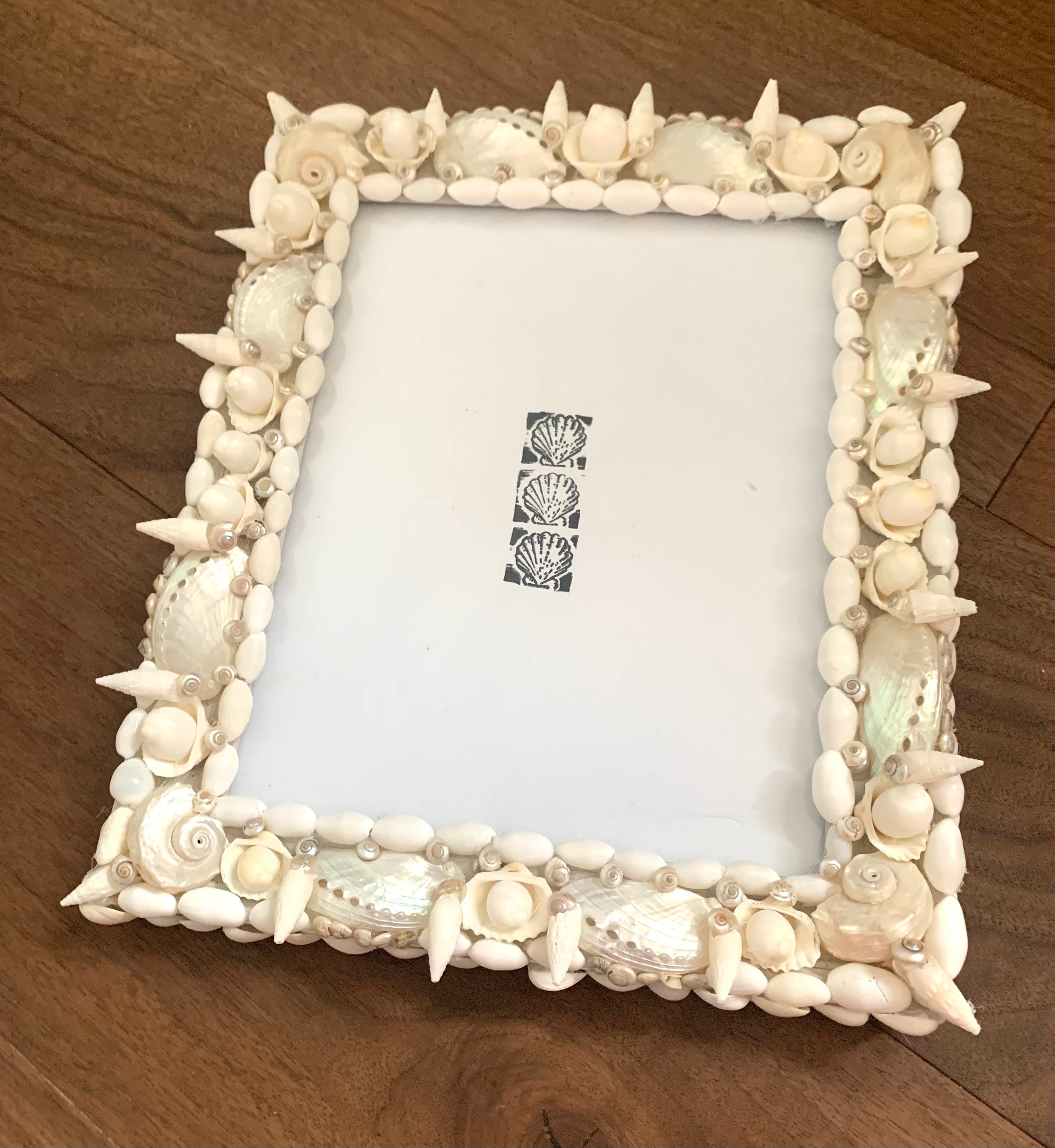 Sea Shell Picture Frame CRISTINA Frame Natural Rare Pearlized White ...