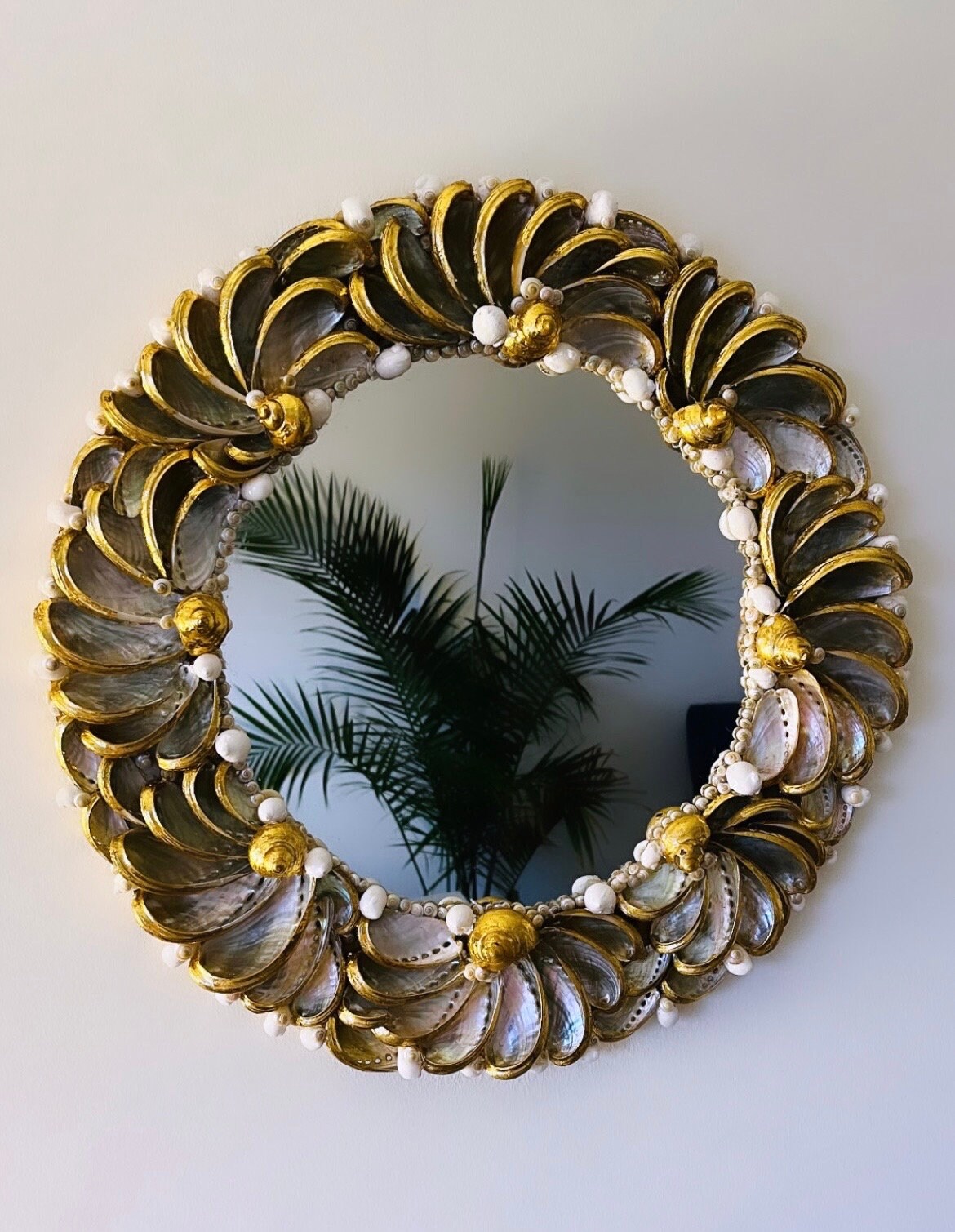 Gold Gilded Abalone Seashell Mirror Natural Seashell Gold Silver White ...