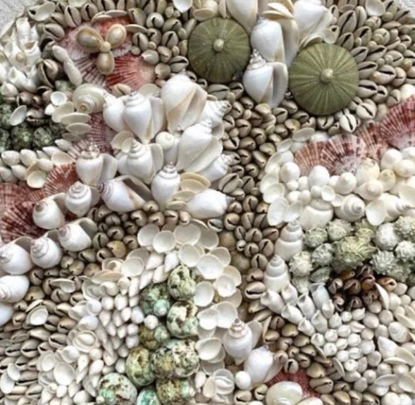 Sea Shell Wall Panels Full Wall Mosaics All Natural Seashells Urchins ...
