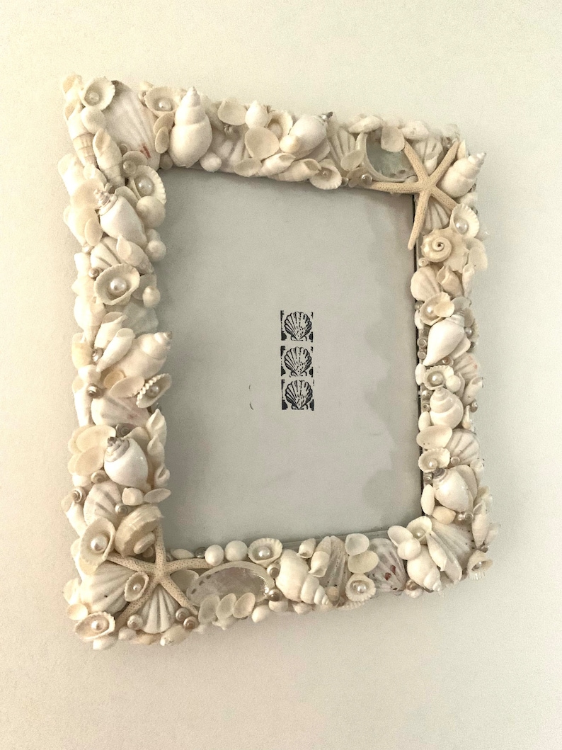 Sea Shell Picture Frame White Pearl CORAL REEF Natural Rare Seashells ...