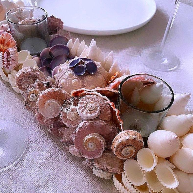 Seashell Centerpiece - Etsy