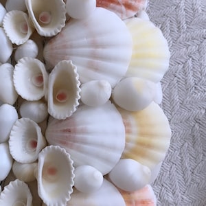 SUMMER BLOOMS Seashell Mirror - Natural White Pink Yellow Orange Red ...