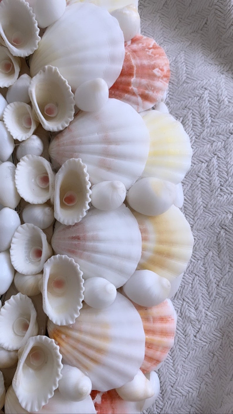 SUMMER BLOOMS Seashell Mirror - Natural White Pink Yellow Orange Red ...