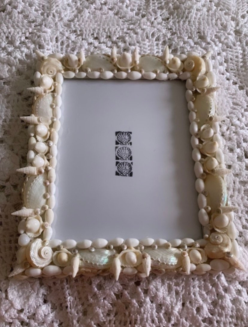 Sea Shell Picture Frame CRISTINA Frame Natural Rare Pearlized - Etsy