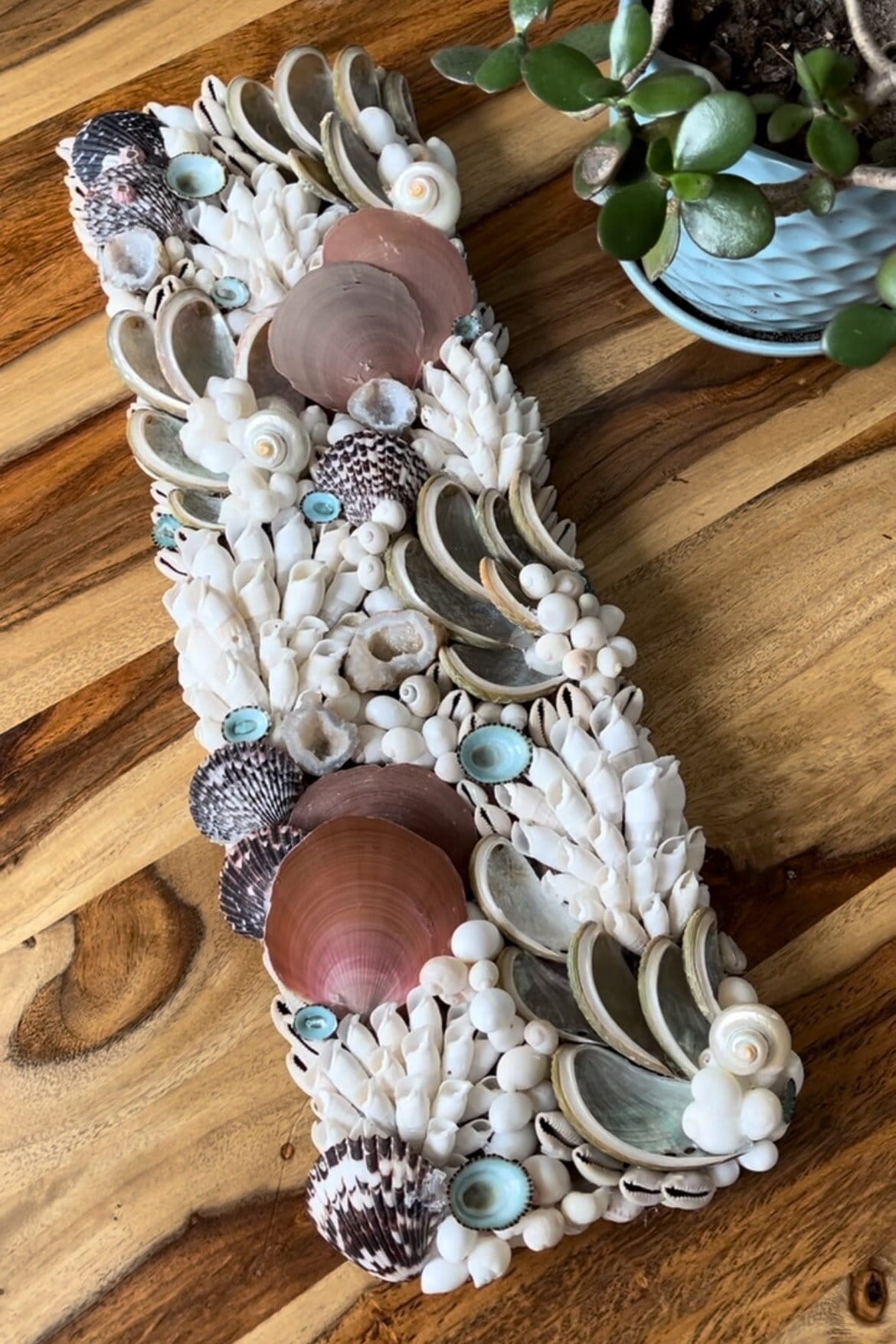 Seashell & Crystal Wall Sculpture – Abalone, Limpet, Cowry, Coastal Art ...