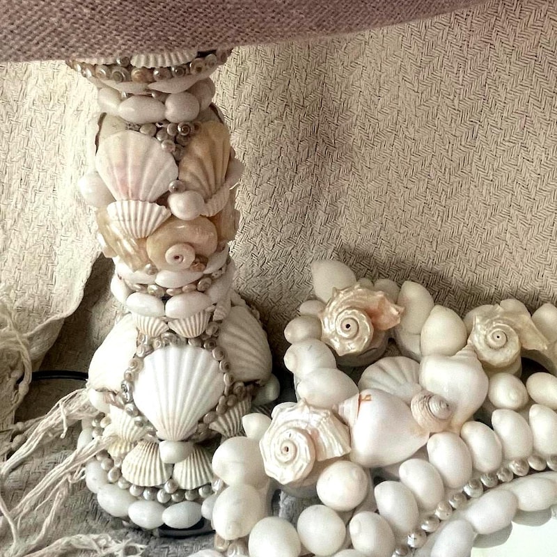 Seashell Lamps - Etsy
