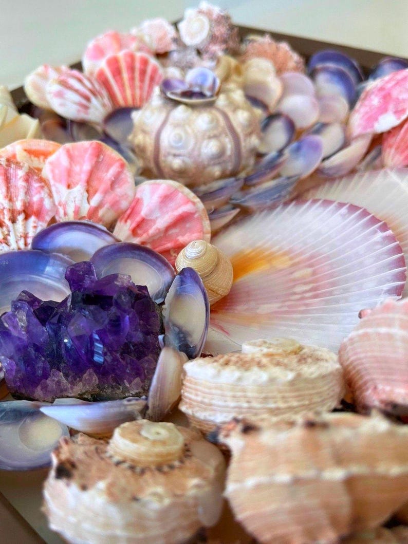 Framed Sea Shell Crystal Wall Mosaic Mermaids Garden Pink Purple Shells ...