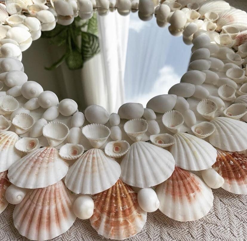 SUMMER BLOOMS Seashell Mirror Natural White Pink Yellow Orange Red ...