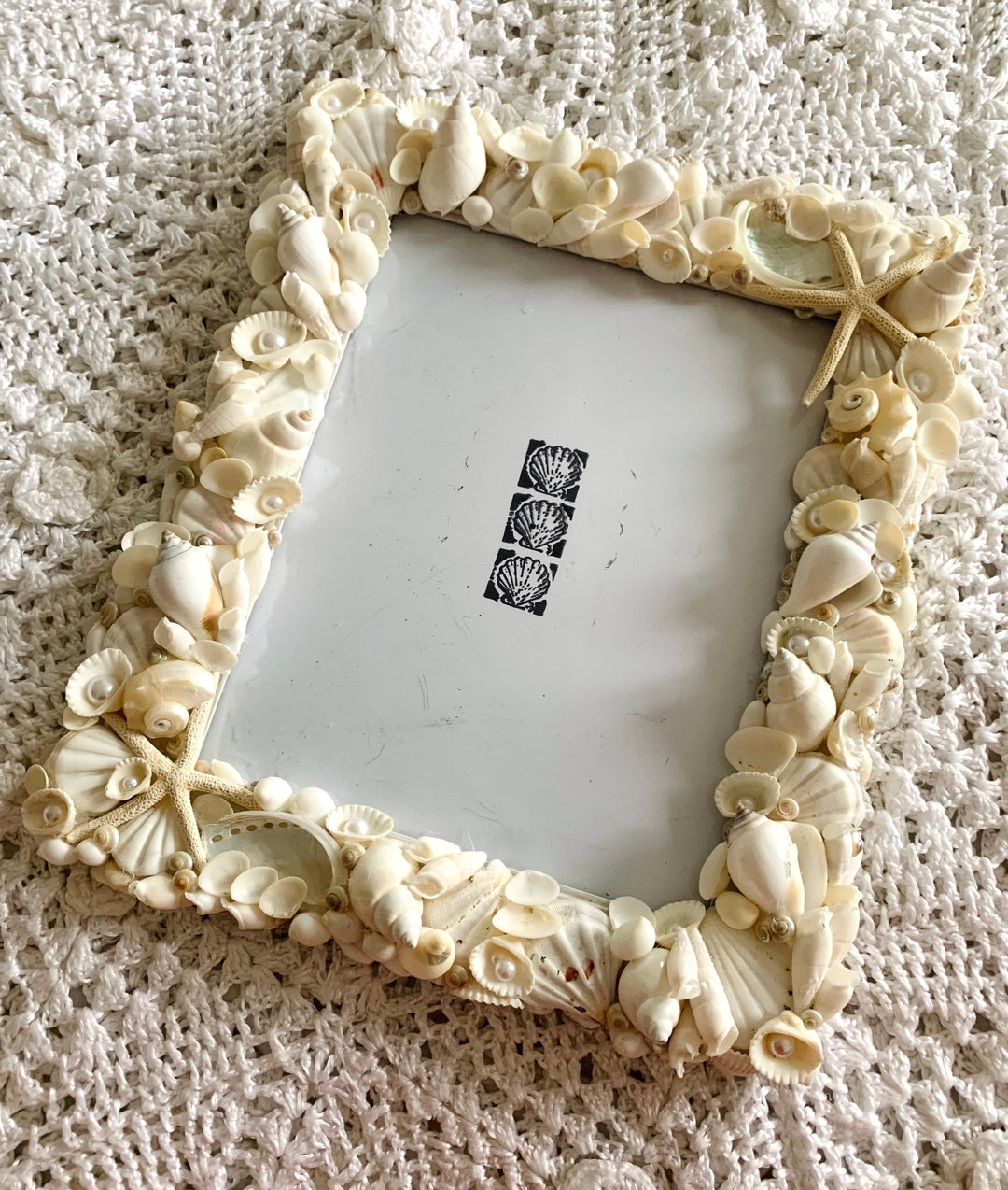 Sea Shell Picture Frame White Pearl CORAL REEF Natural Rare - Etsy
