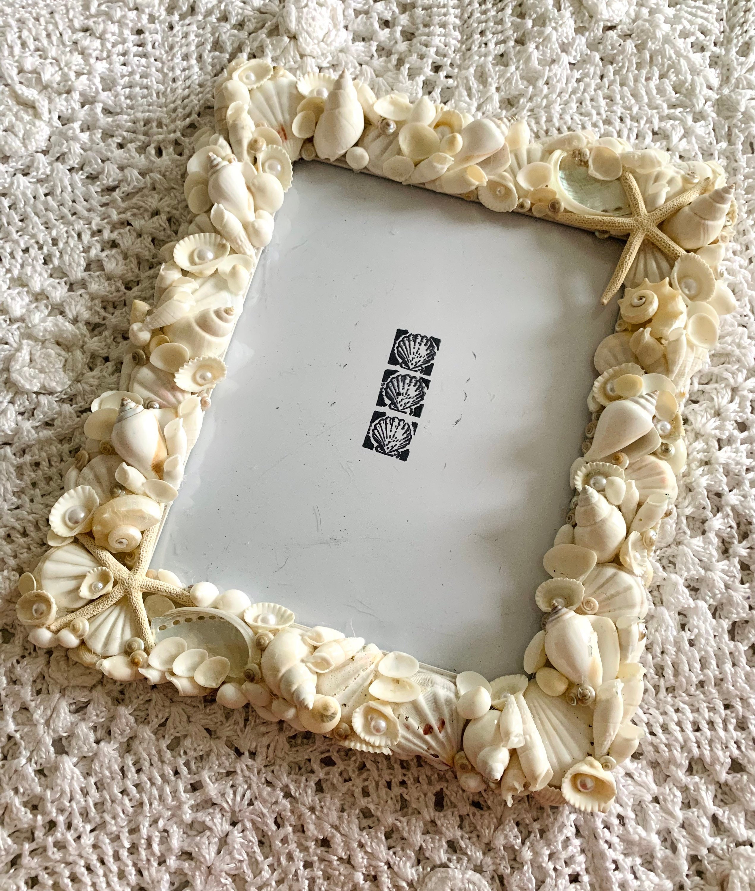 Sea Shell Picture Frame White Pearl CORAL REEF Natural Rare Seashells ...