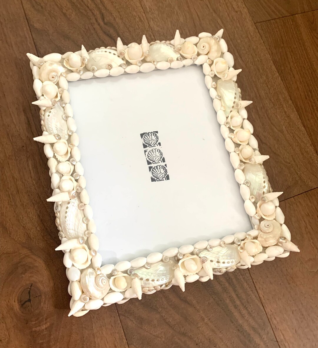 Sea Shell Picture Frame CRISTINA Frame Natural Rare Pearlized White ...