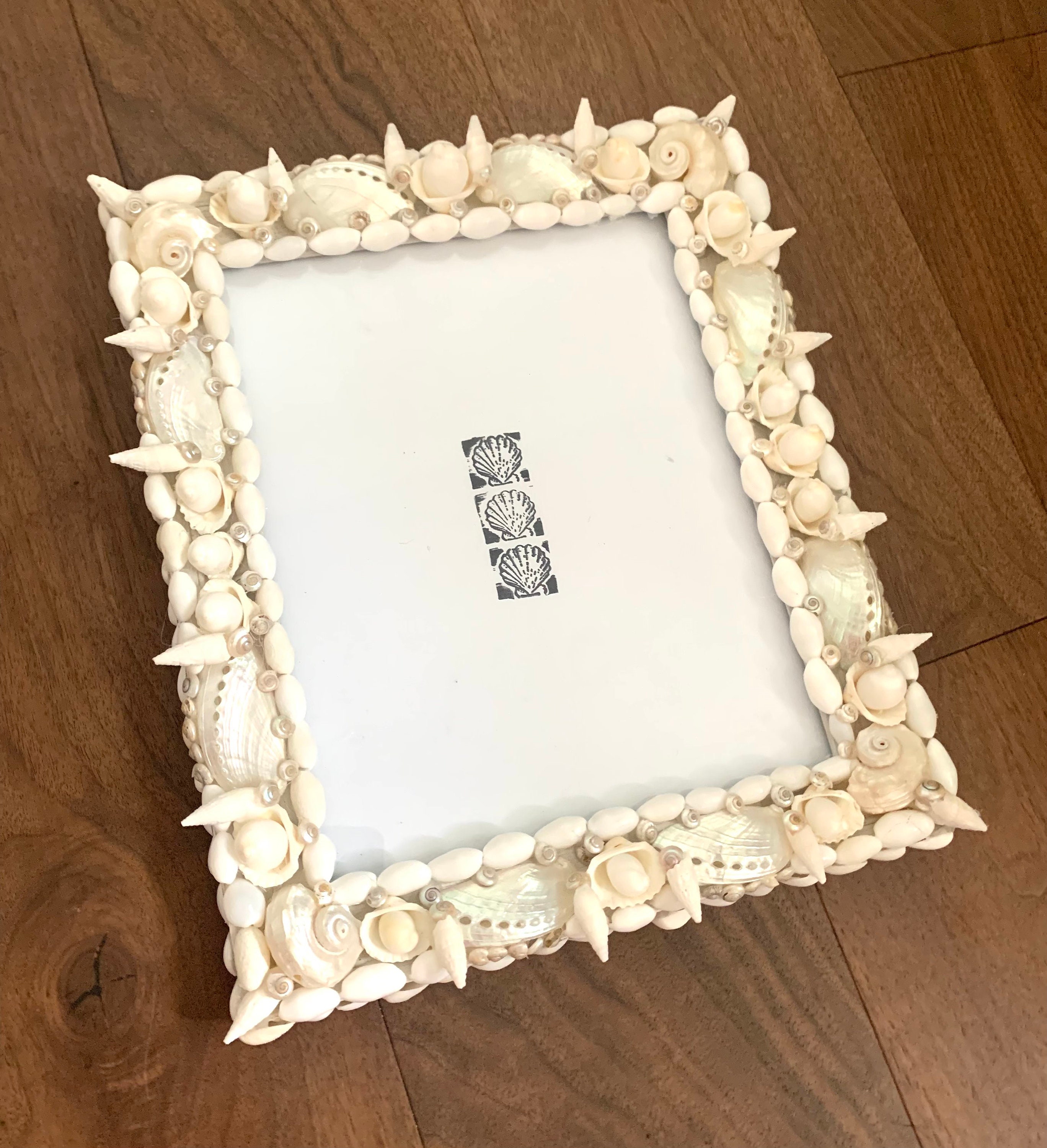 Sea Shell Picture Frame CRISTINA Frame Natural Rare Pearlized White ...