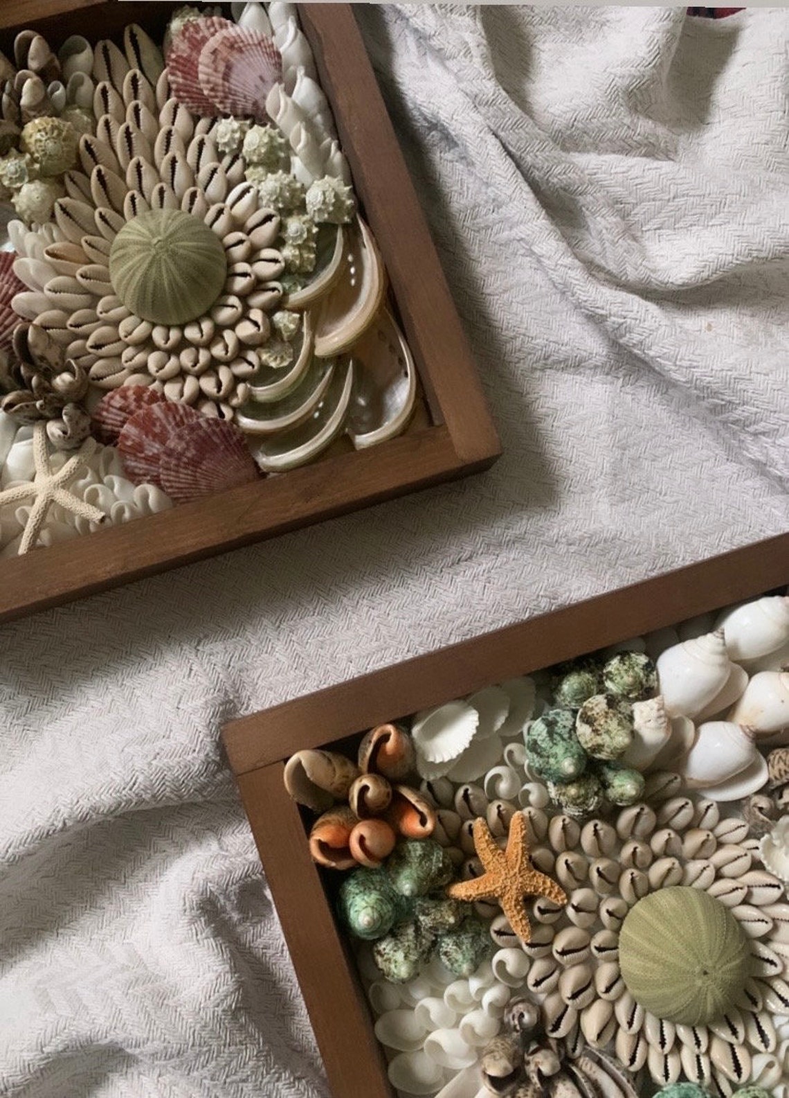 Framed Seashell Wall Mosaic Natural Sea Shells Coastal Nautical Wall ...