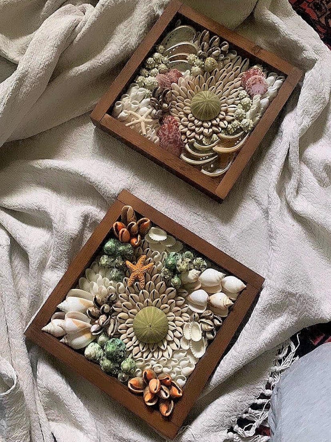 Framed Seashell Wall Mosaic Natural Sea Shells Coastal Nautical Wall ...