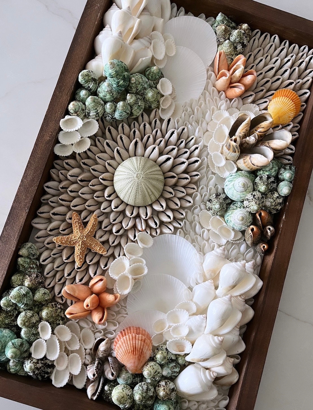 Framed Seashell Wall Mosaic Natural Sea Shells Coastal Nautical Wall ...