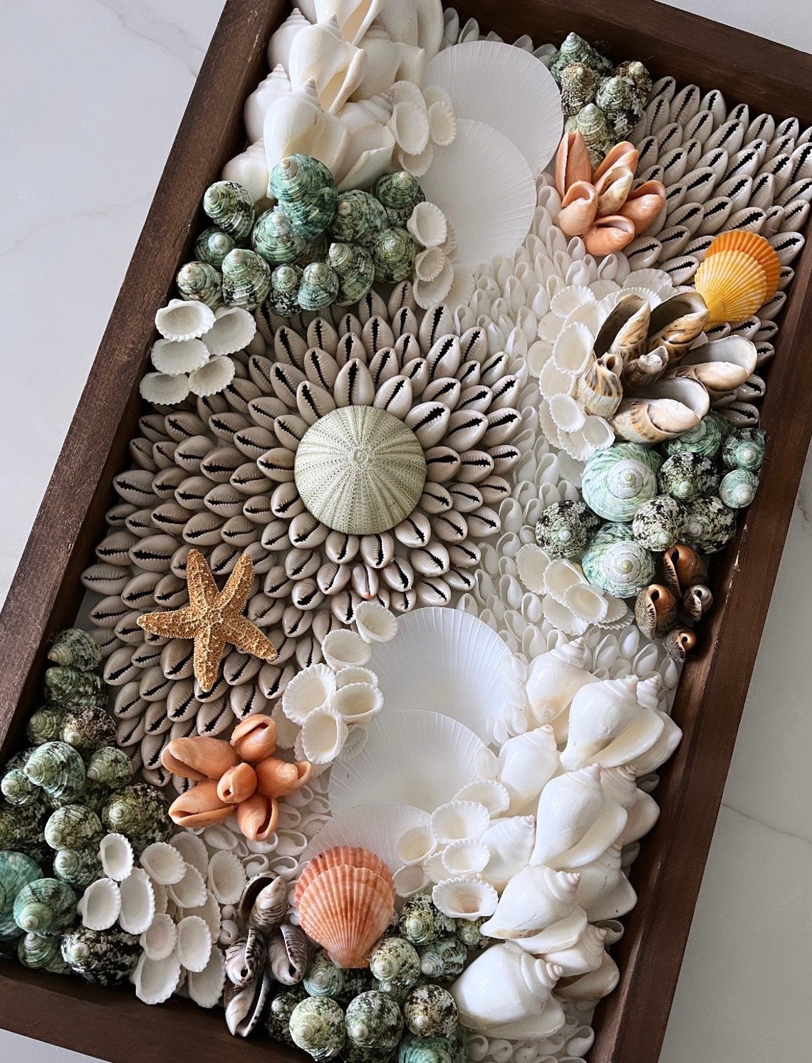 Framed Seashell Wall Mosaic Natural Sea Shells Coastal Nautical Wall ...