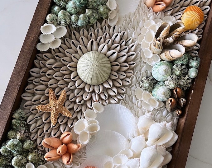 Framed Seashell Wall Mosaic Natural Sea Shells Coastal Nautical Wall ...