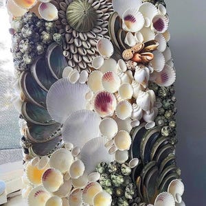 Sea Shell Wall Panels- Full Wall Mosaics All Natural Seashells Urchins ...