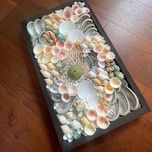 Framed Seashell Wall Mosaic Natural Sea Shells Coastal Nautical Wall ...