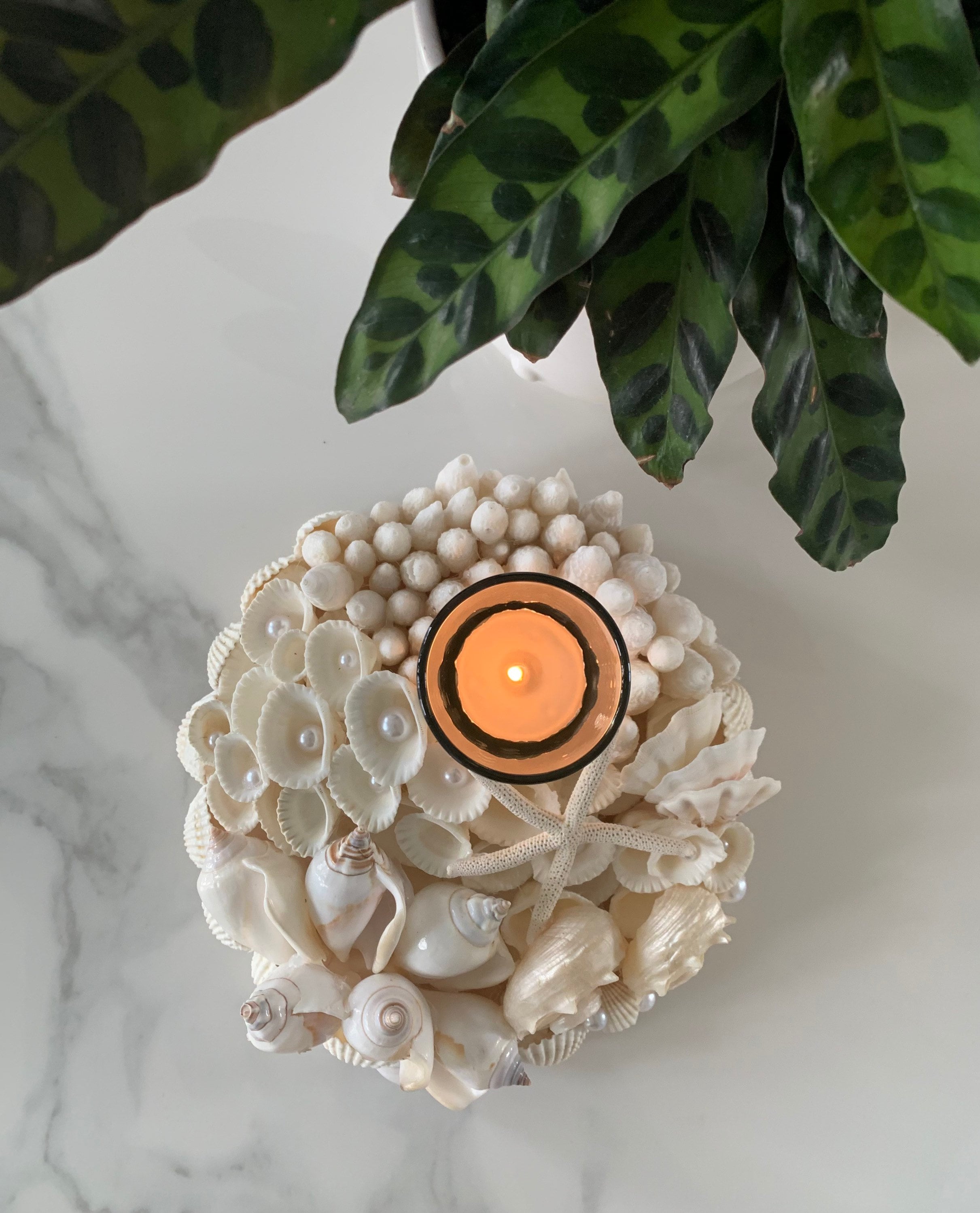 Seashell Candle Holder CORALREEF White Pearl Shell Sculpture - Natural ...