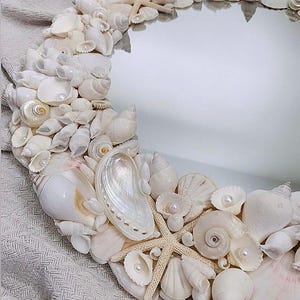 White Seashell Mirror – “coral Reef Mirror” Coastal Shell Starfish ...