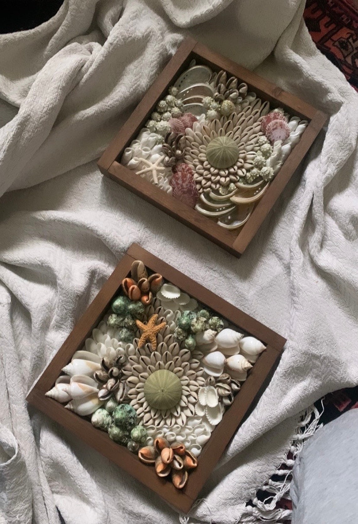 Framed Seashell Wall Mosaic Natural Sea Shells Coastal Nautical Wall ...