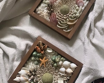 Framed Seashell Wall Mosaic Natural Sea Shells Coastal Nautical Wall ...