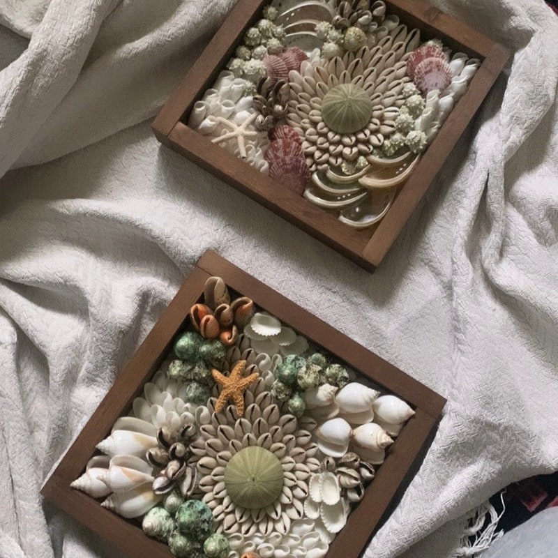 Shell Artwork - Etsy